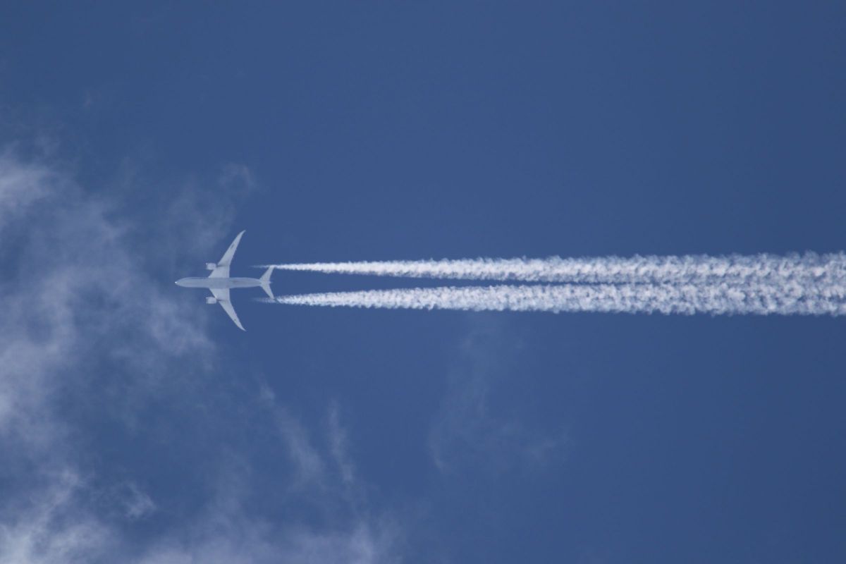 JA811A_B788_NH589_HND-MYJ_38,000ft | GANREF