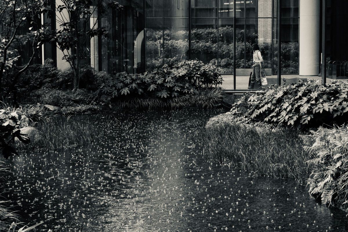 early morning rain | GANREF