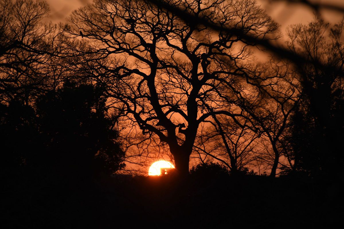 沈む太陽 | GANREF