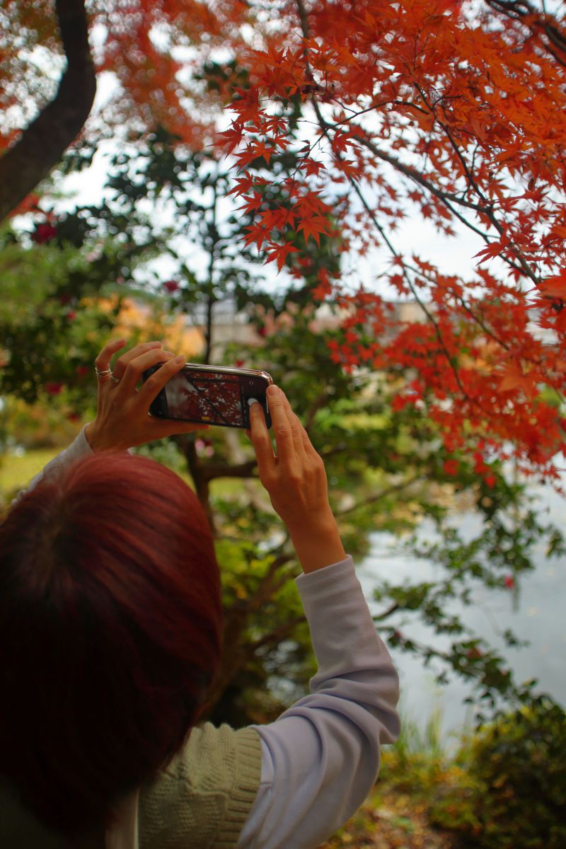 構図を悩む・・・（6） | GANREF