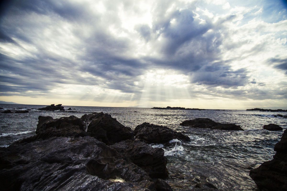 IMG_6447.jpg | GANREF