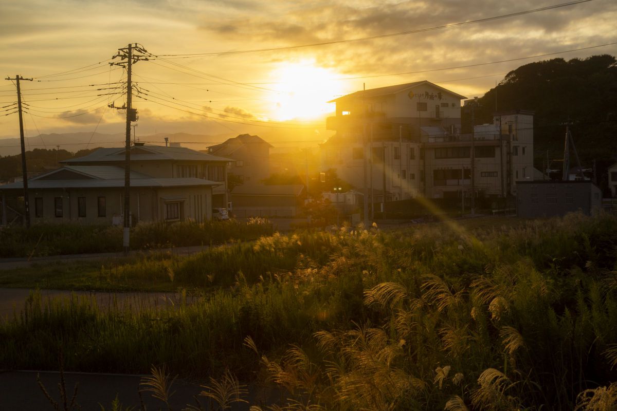 IMG_9935.jpg | GANREF