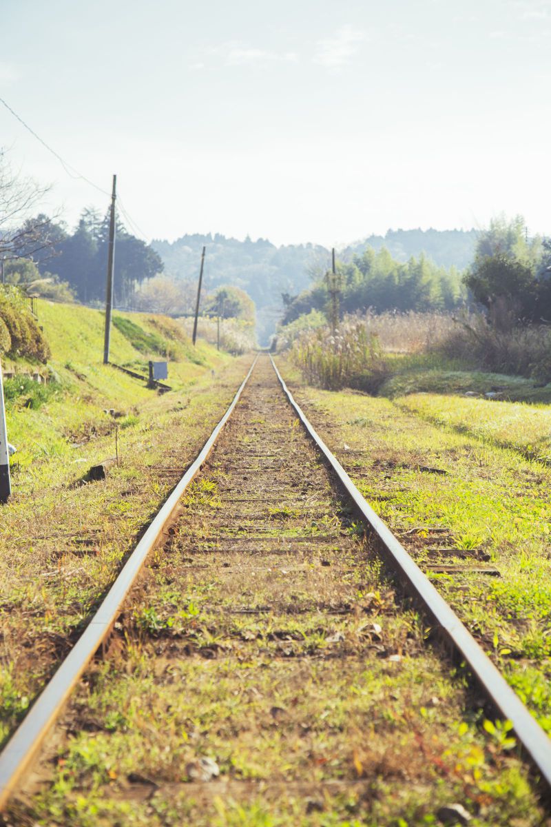 IMG_1598.jpg | GANREF