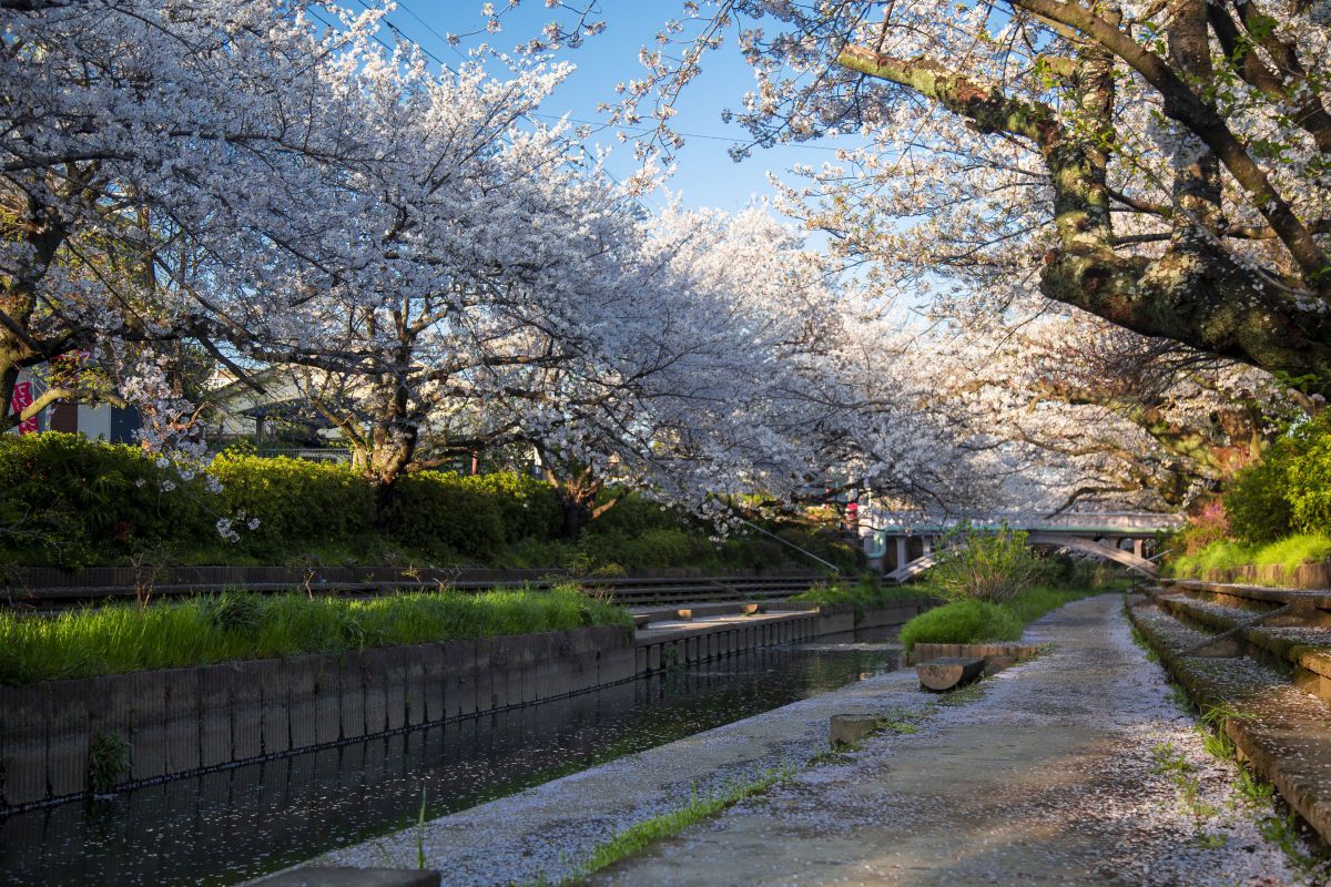 15ef5454daabed8f49d13462d4295e1f.jpeg | GANREF