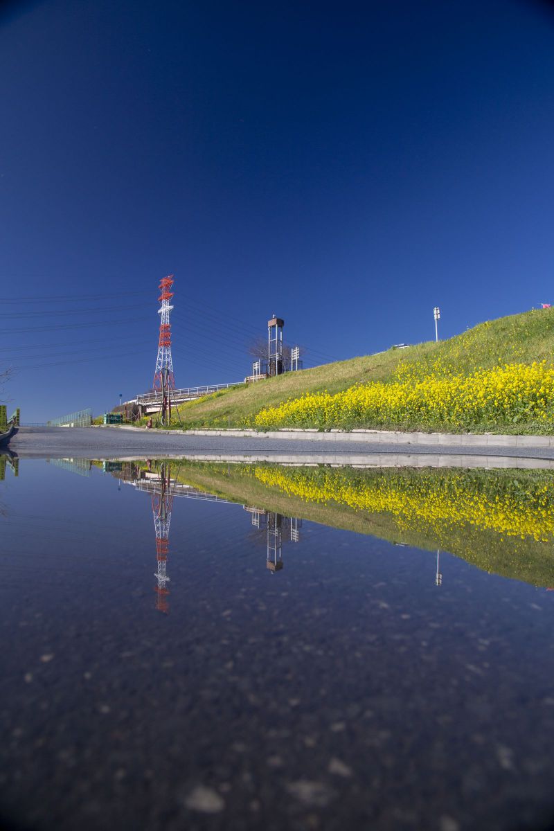 IMG_3576.jpg | GANREF