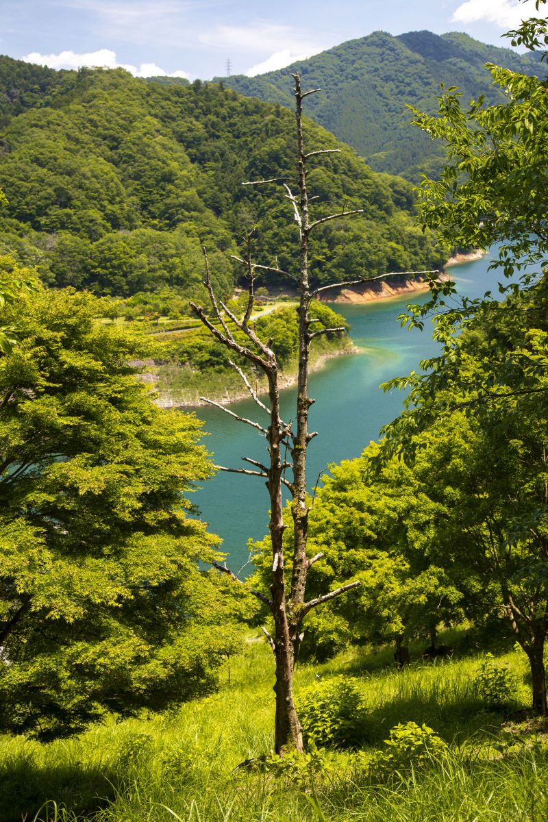 9b276b4d9c623a61e83c54cbe75bc51c.jpeg | GANREF