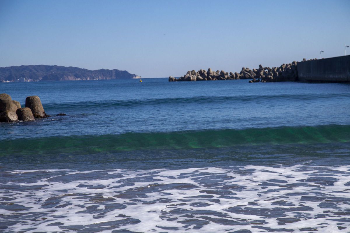 IMG_2007.jpg | GANREF