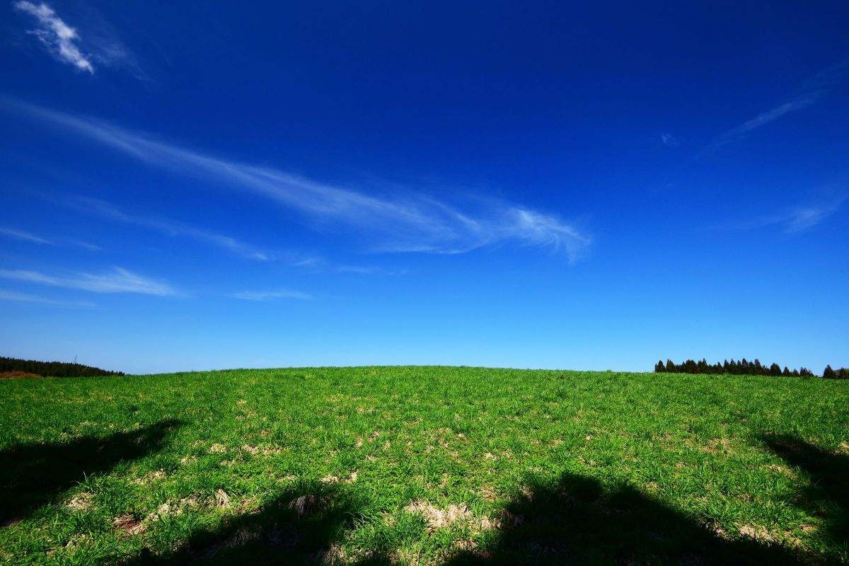 Spring Blue Sky | GANREF