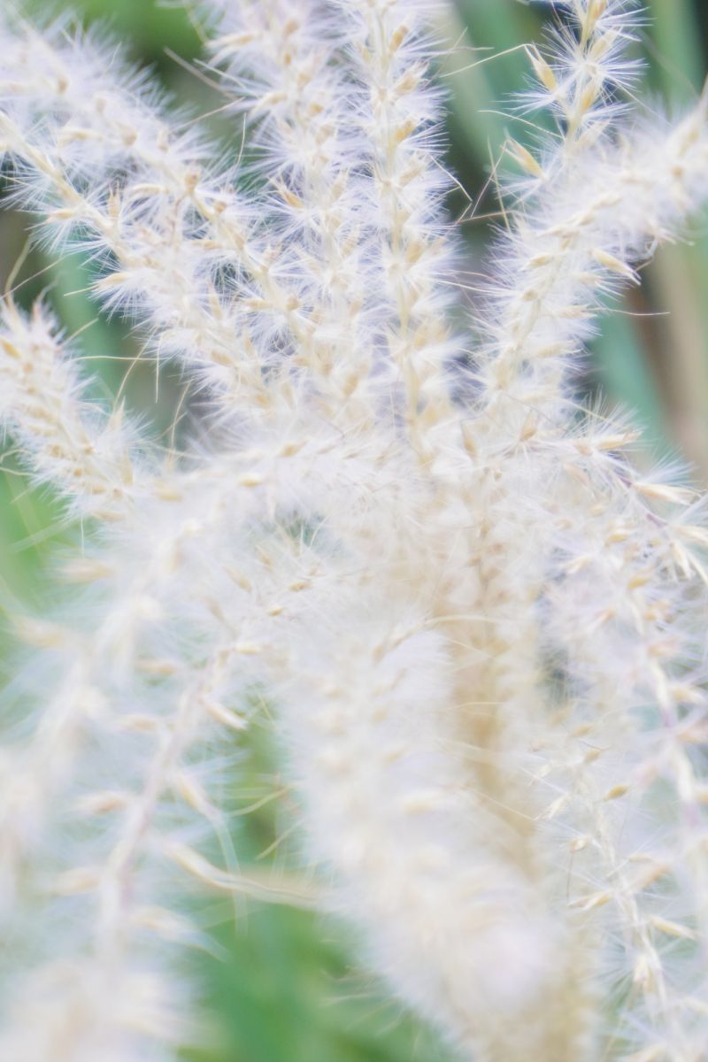 PENTAX-02 STANDARD ZOOM （PENTAX Q） | GANREF