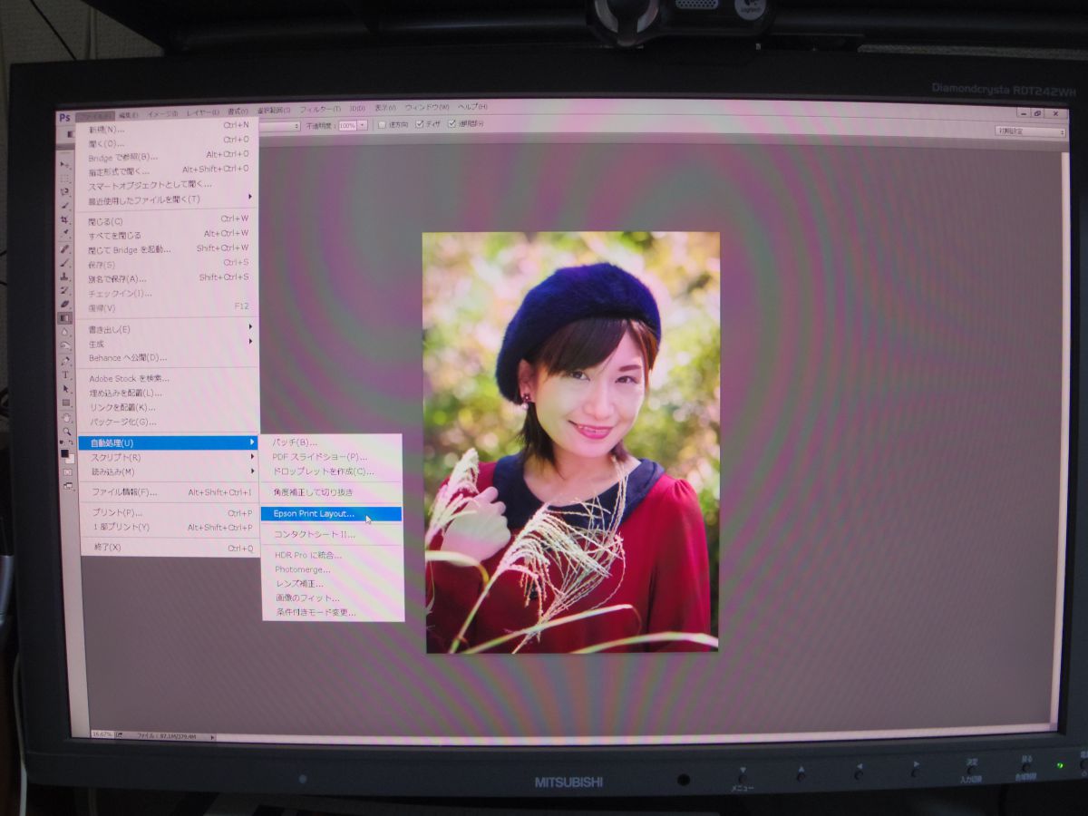 [注目製品レビュー～エプソン EP-10VA編～]第17回：Epson Print Layout | GANREF