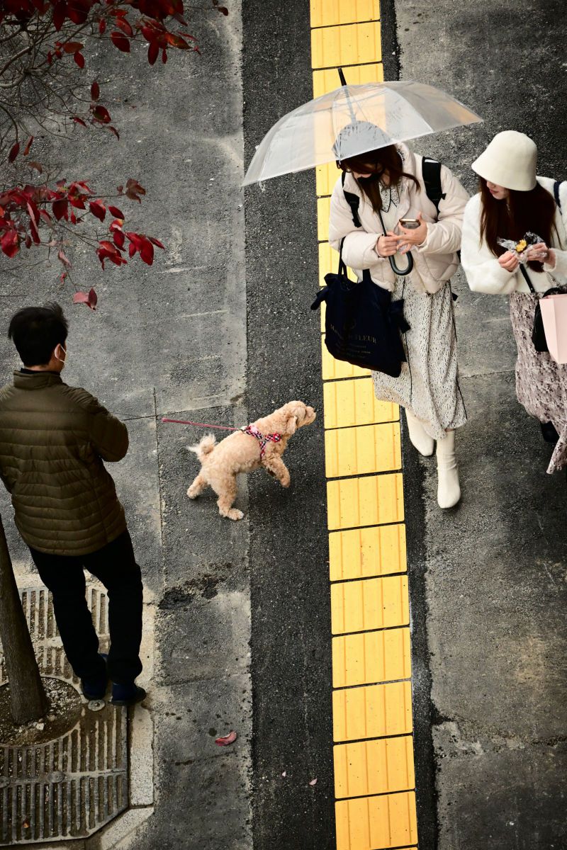 通りの人々 26 | GANREF