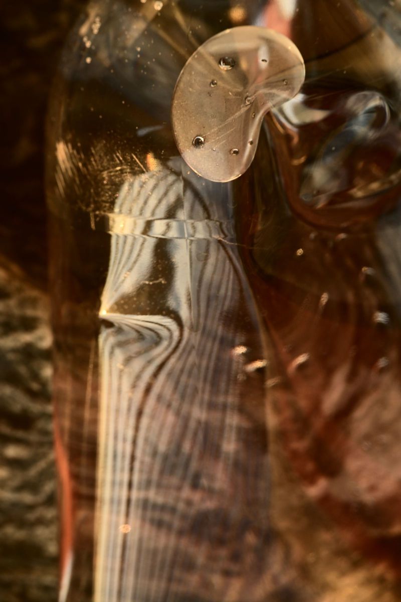 ペットボトルといっしょ 35 | GANREF