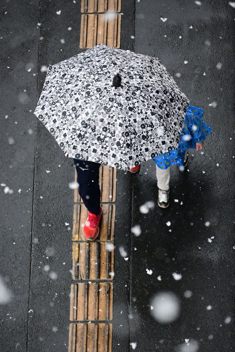 通りの人々 55 | GANREF