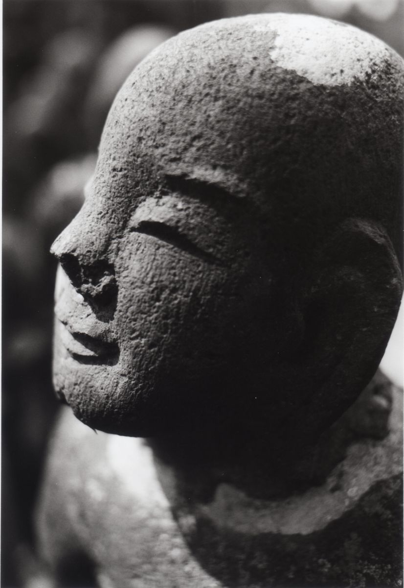 喜多院の五百羅漢（TRI-X 400版） | GANREF