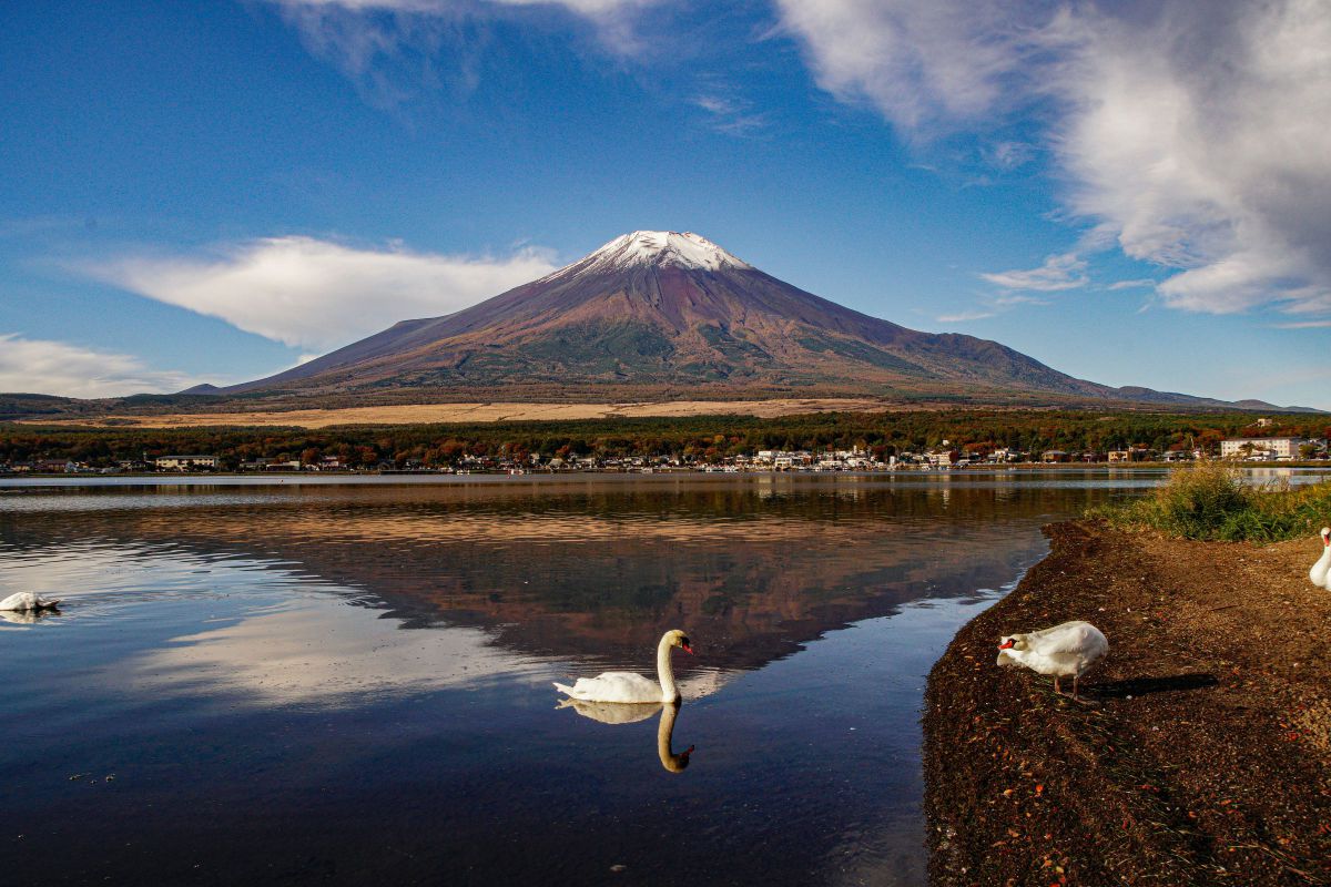 登鳥(登頂) | GANREF
