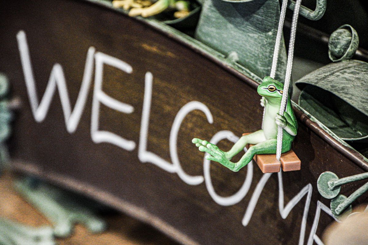 WELCOME frog | GANREF