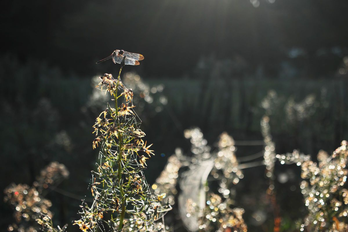 Waiting for takeoff | GANREF