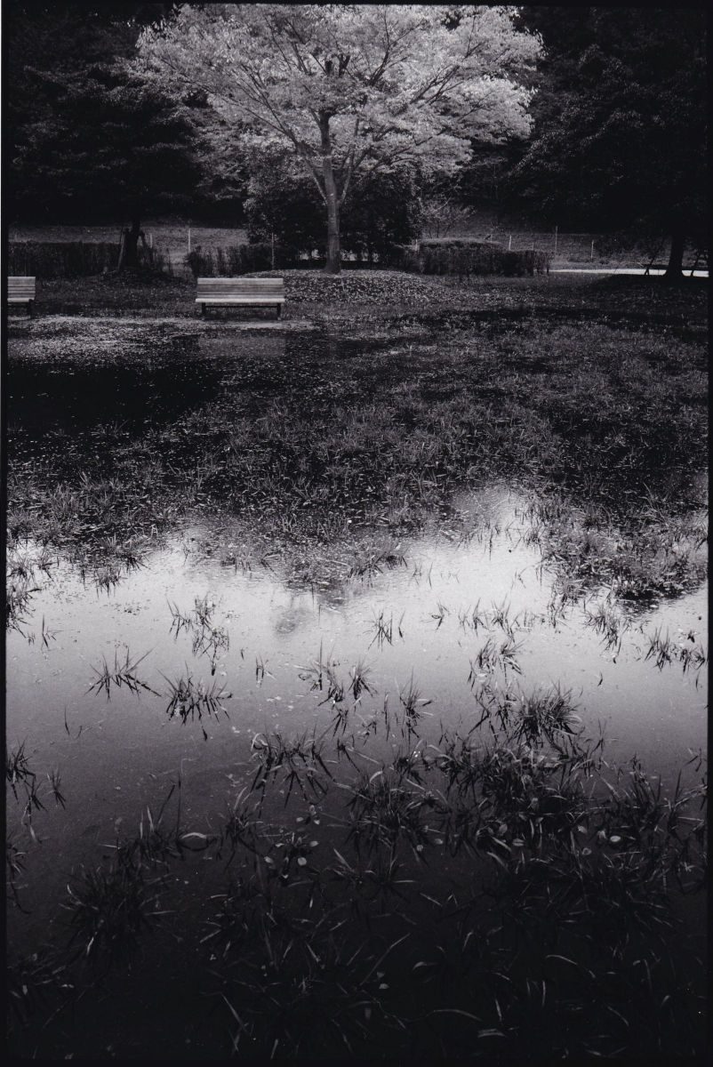 銀塩_003.jpg | GANREF