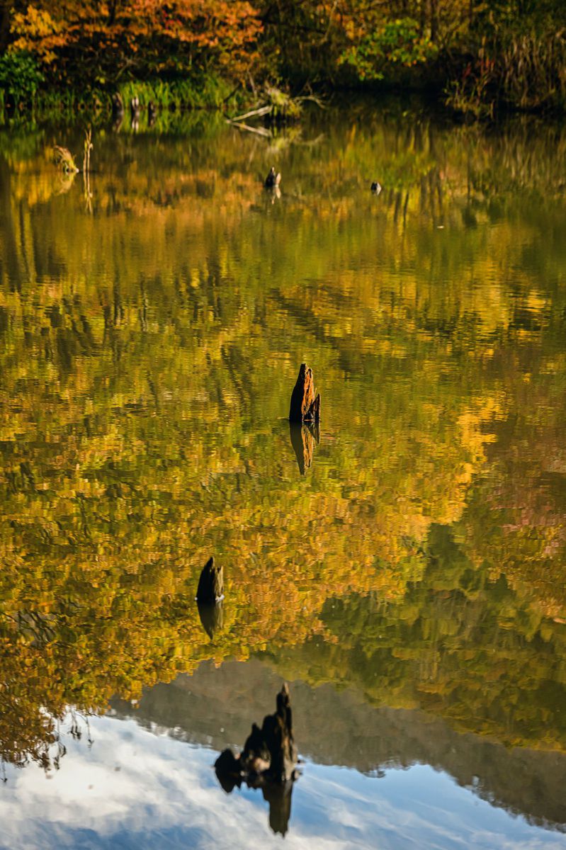 雨あがり | GANREF