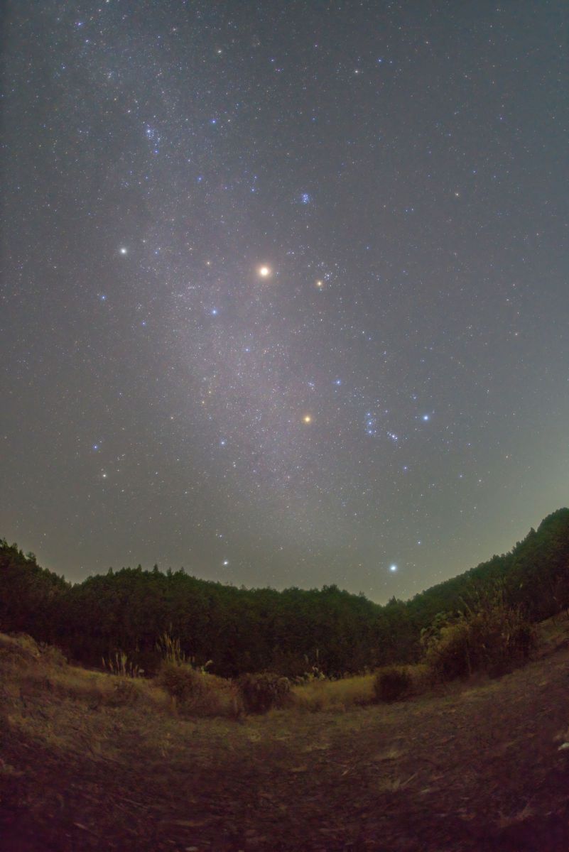 Winter Daimond 2022 | GANREF