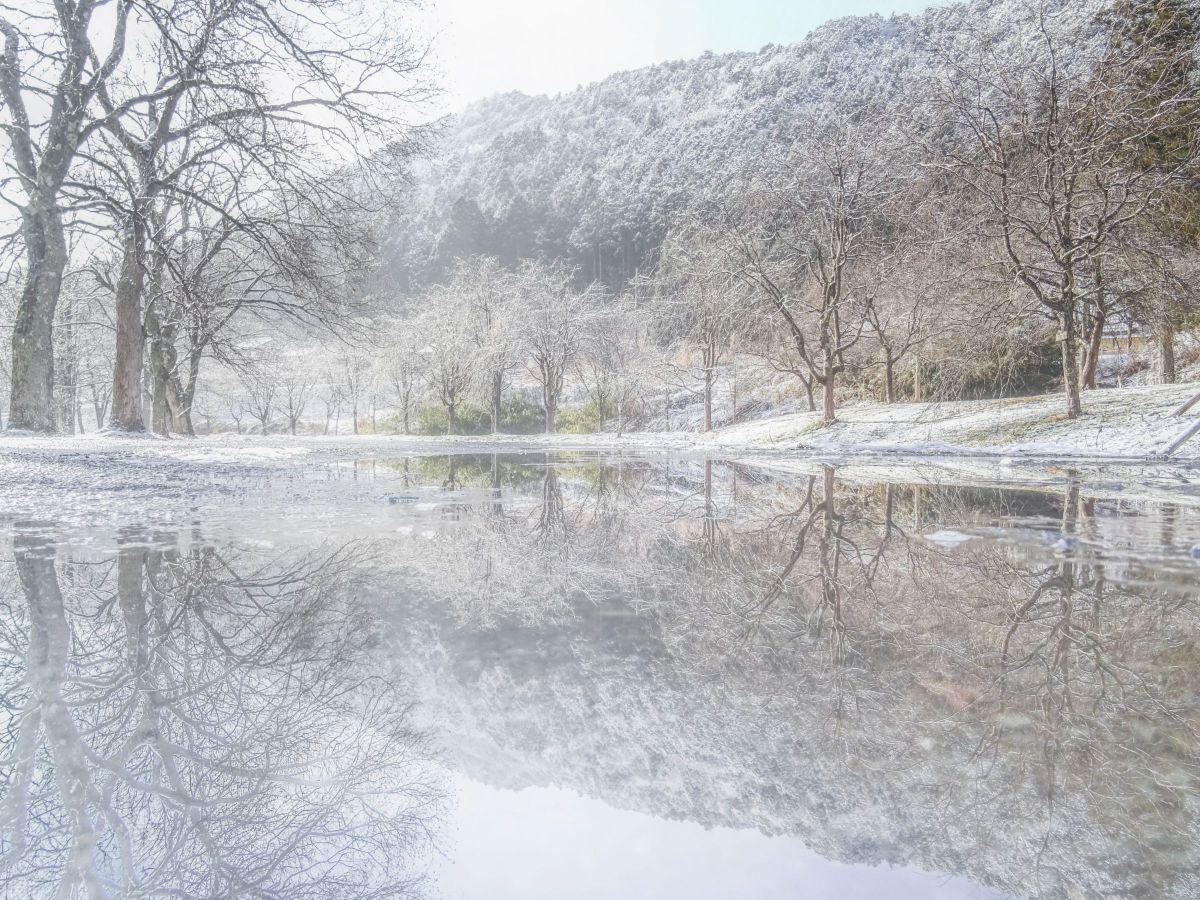 Winter Reflection | GANREF