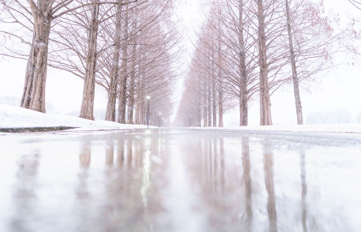 Winter Reflection | GANREF