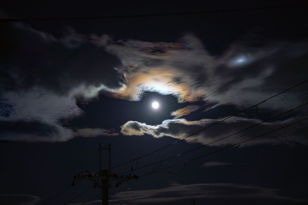 Moonlight Dragon | GANREF