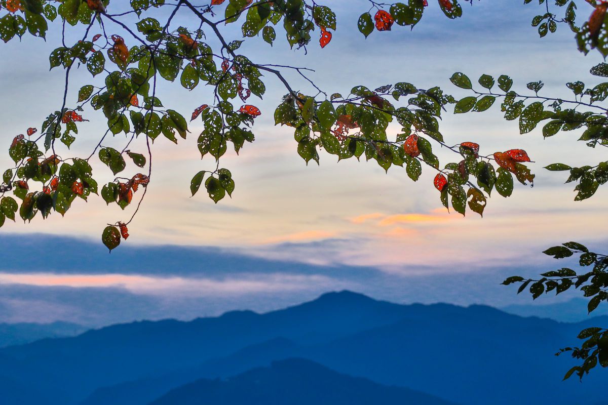 秋の気配 | GANREF