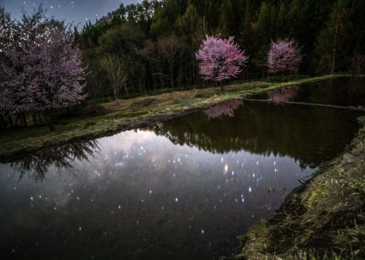 逆さサソリ101 | GANREF