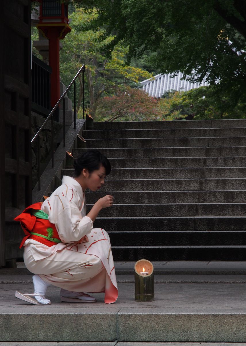清荒神ﾄｩﾜｲﾗｲﾄ撮影会撮影記 | GANREF