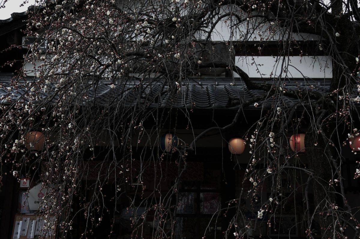 家屋の掟 | GANREF