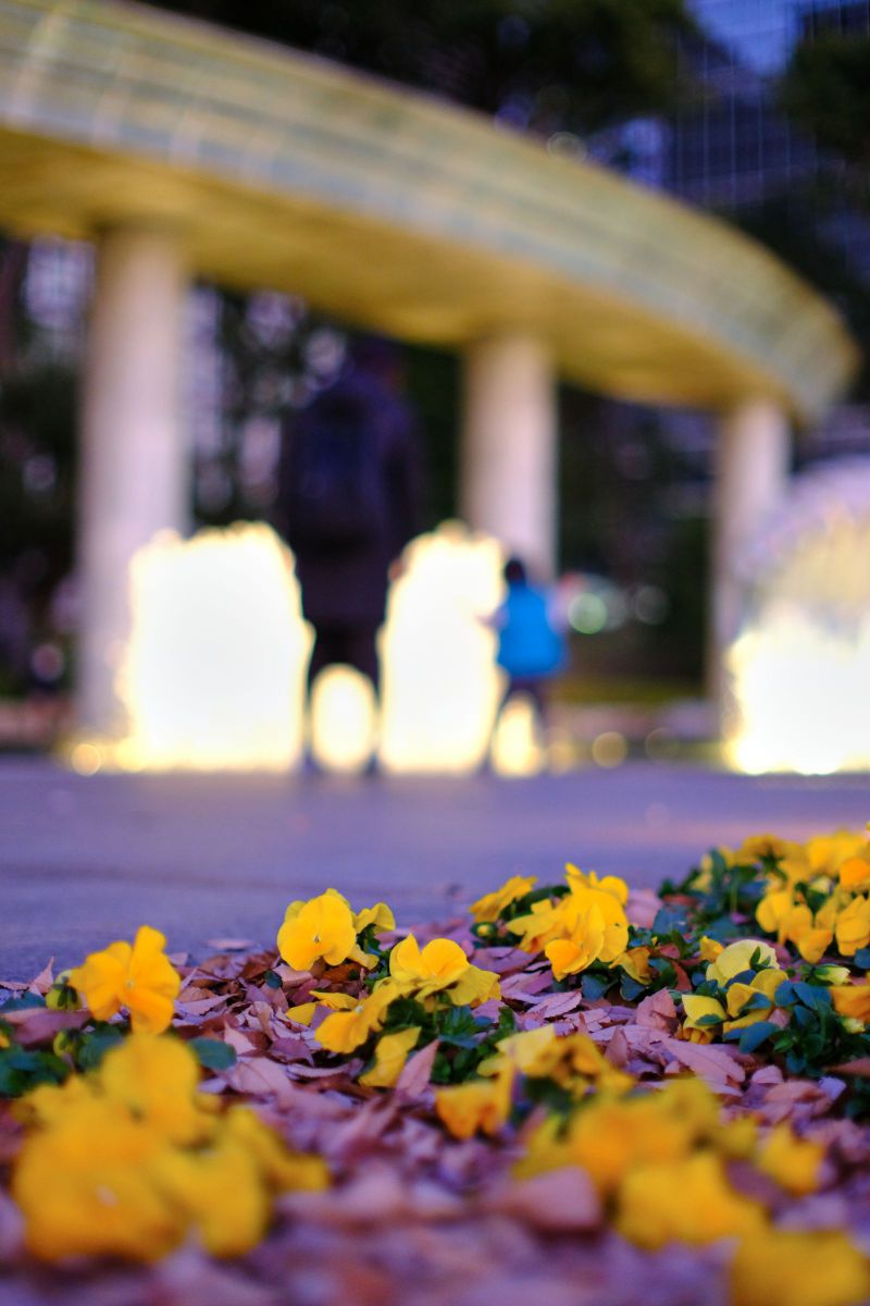 和田倉噴水公園01 | GANREF