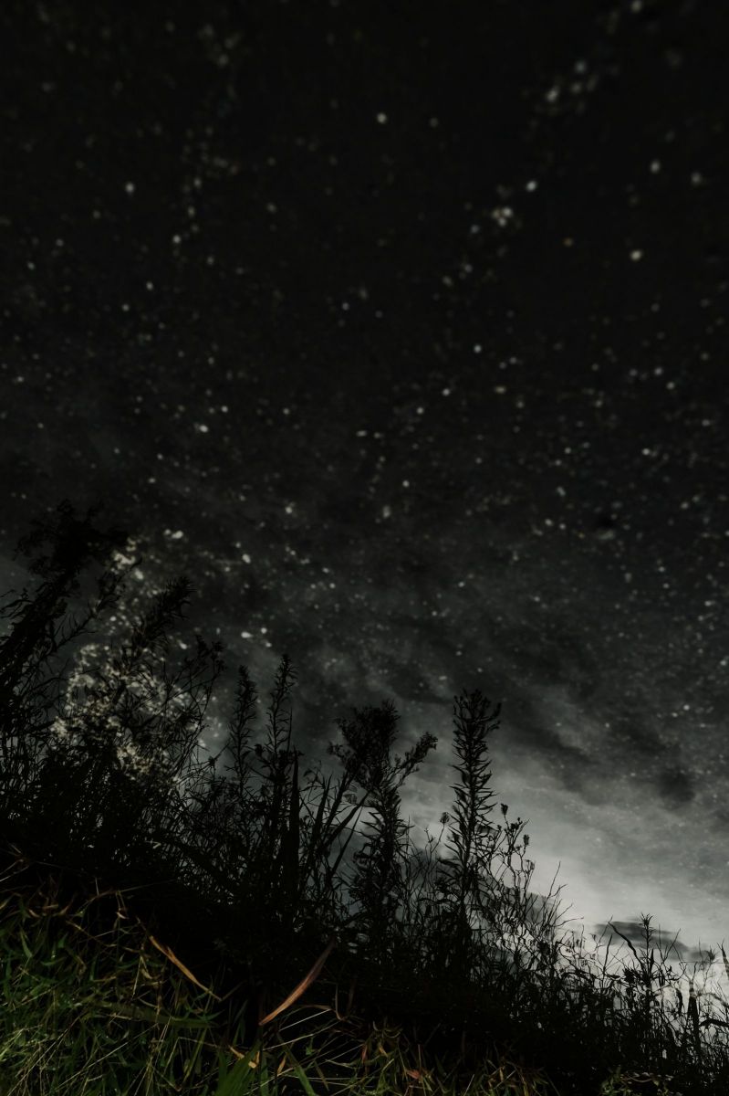 Another sky | GANREF