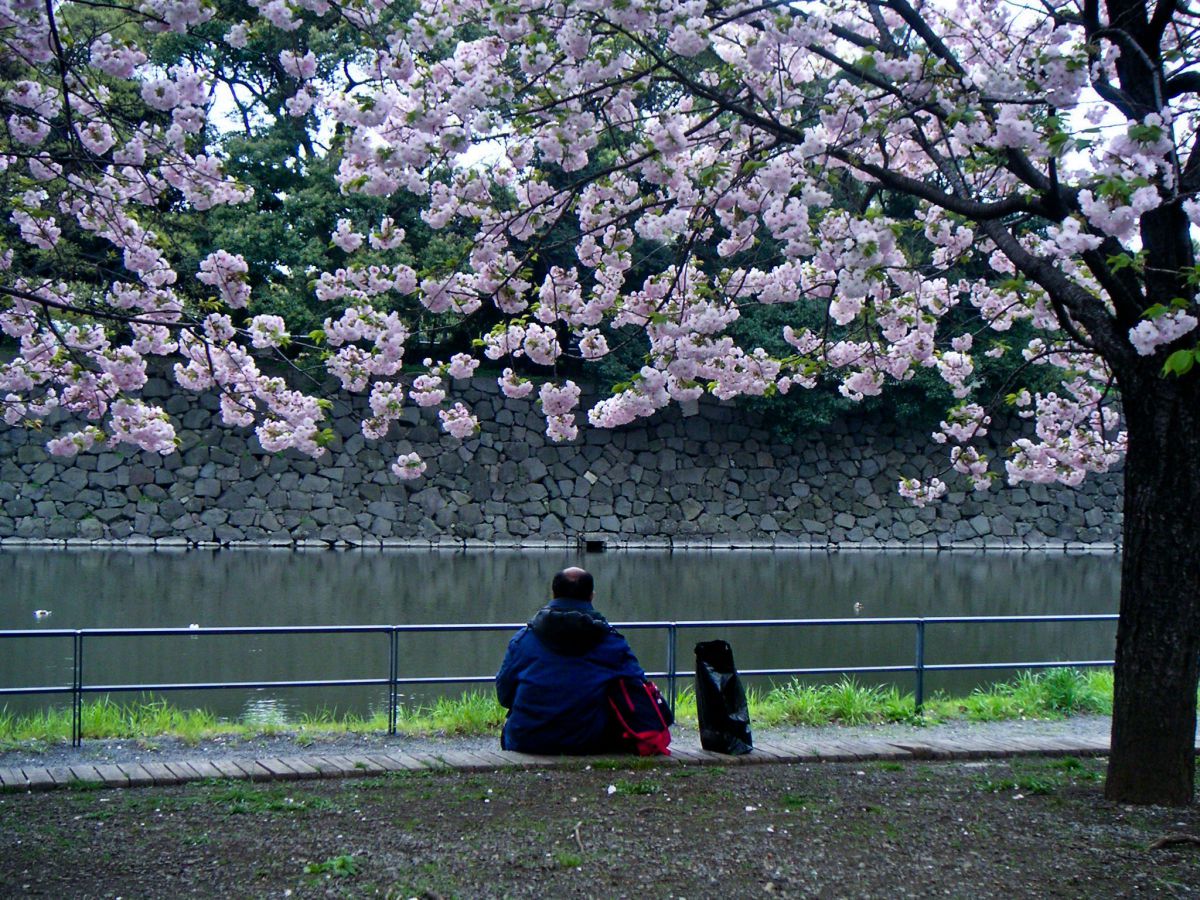 唯我独尊 | GANREF