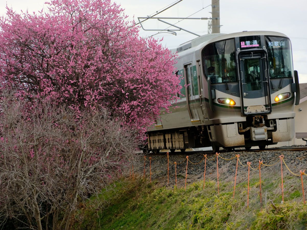 ドヤ顔227 | GANREF