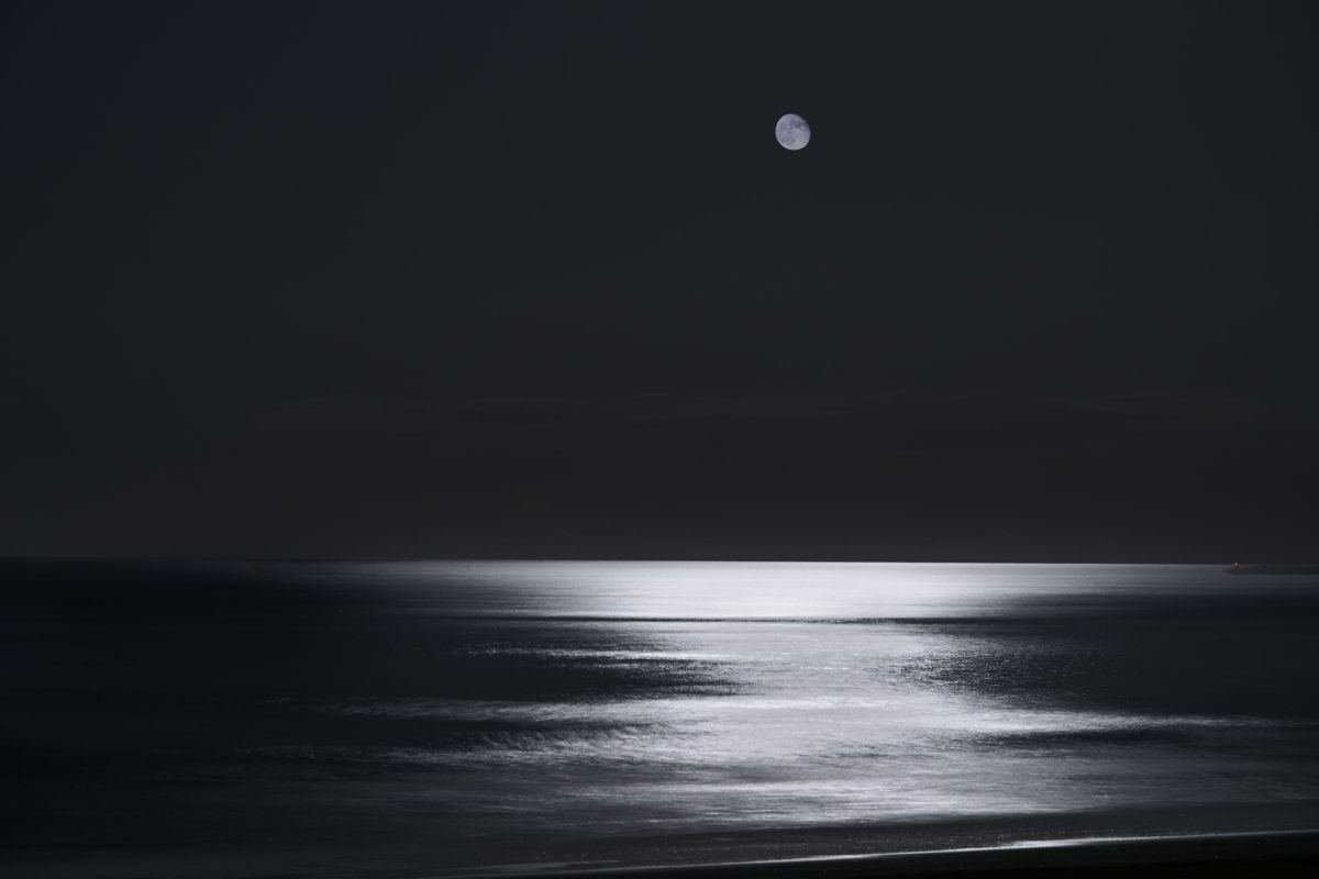 Moonlight Serenade | GANREF