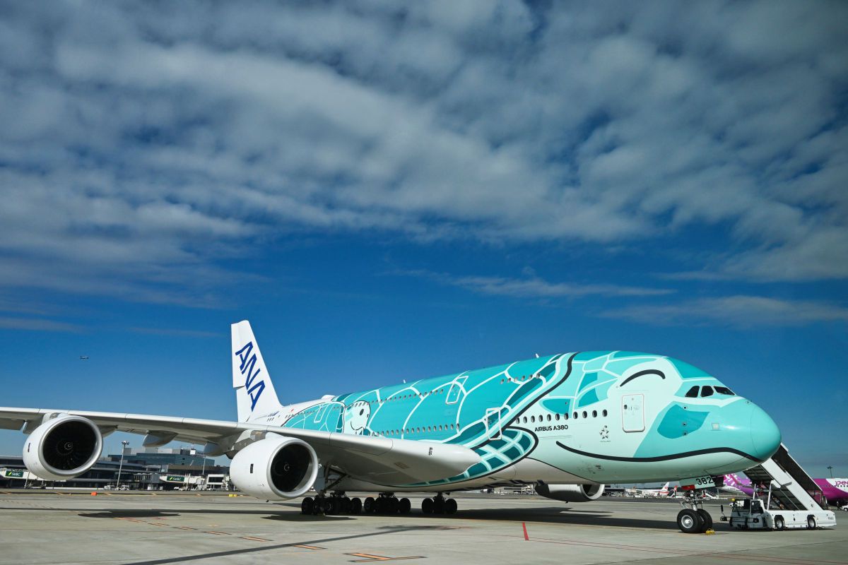 FLYING HONU | GANREF