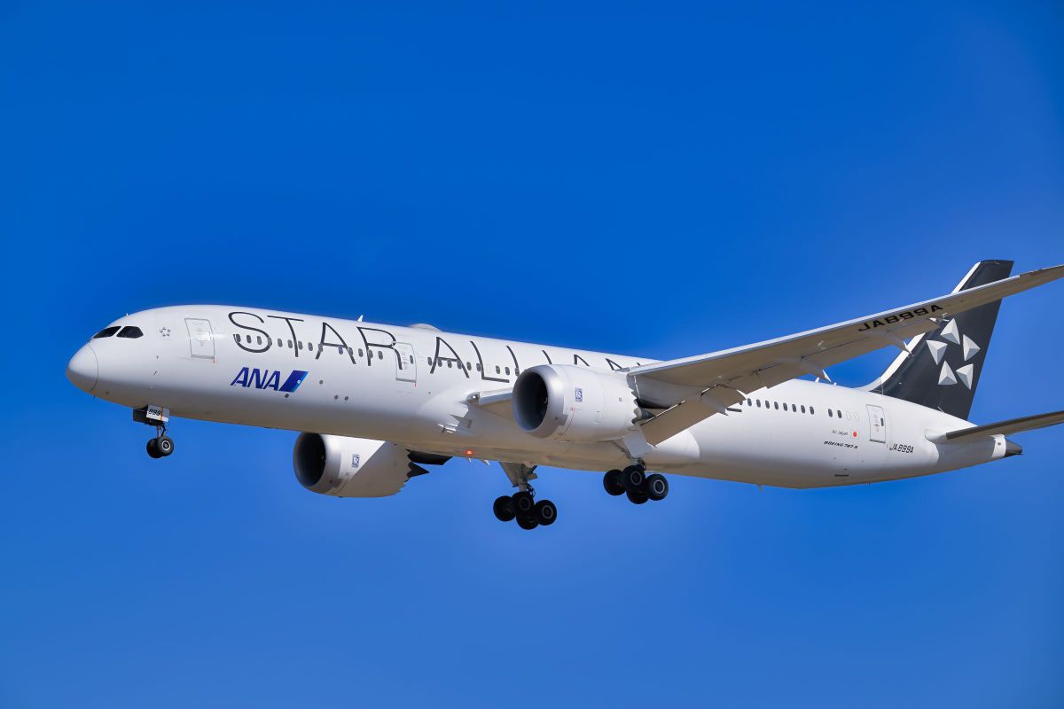 スタアラB8 | GANREF