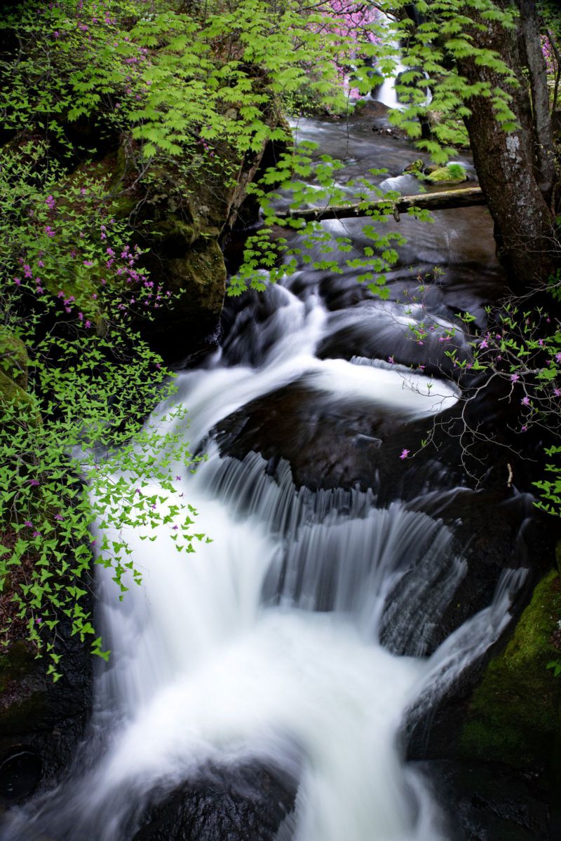 豪快に流れる | GANREF