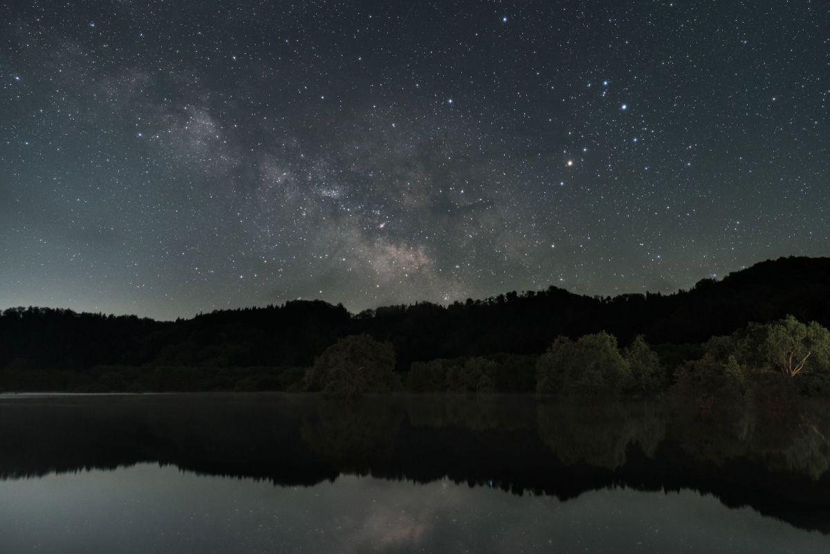 浮かぶ星と木々 | GANREF