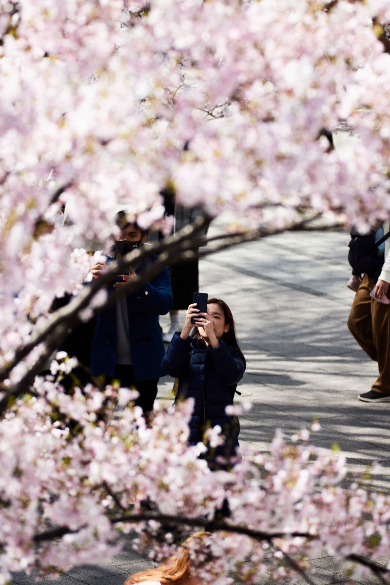 春を楽しむ。 | GANREF