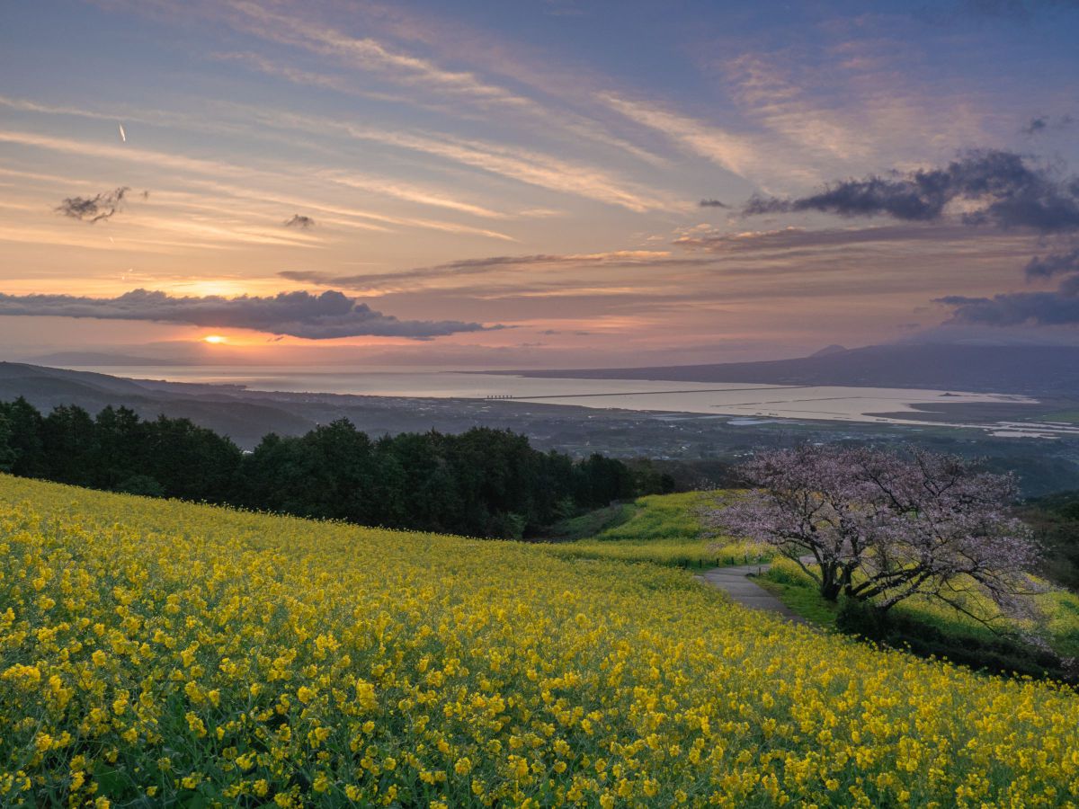 待ちくたびれて | GANREF