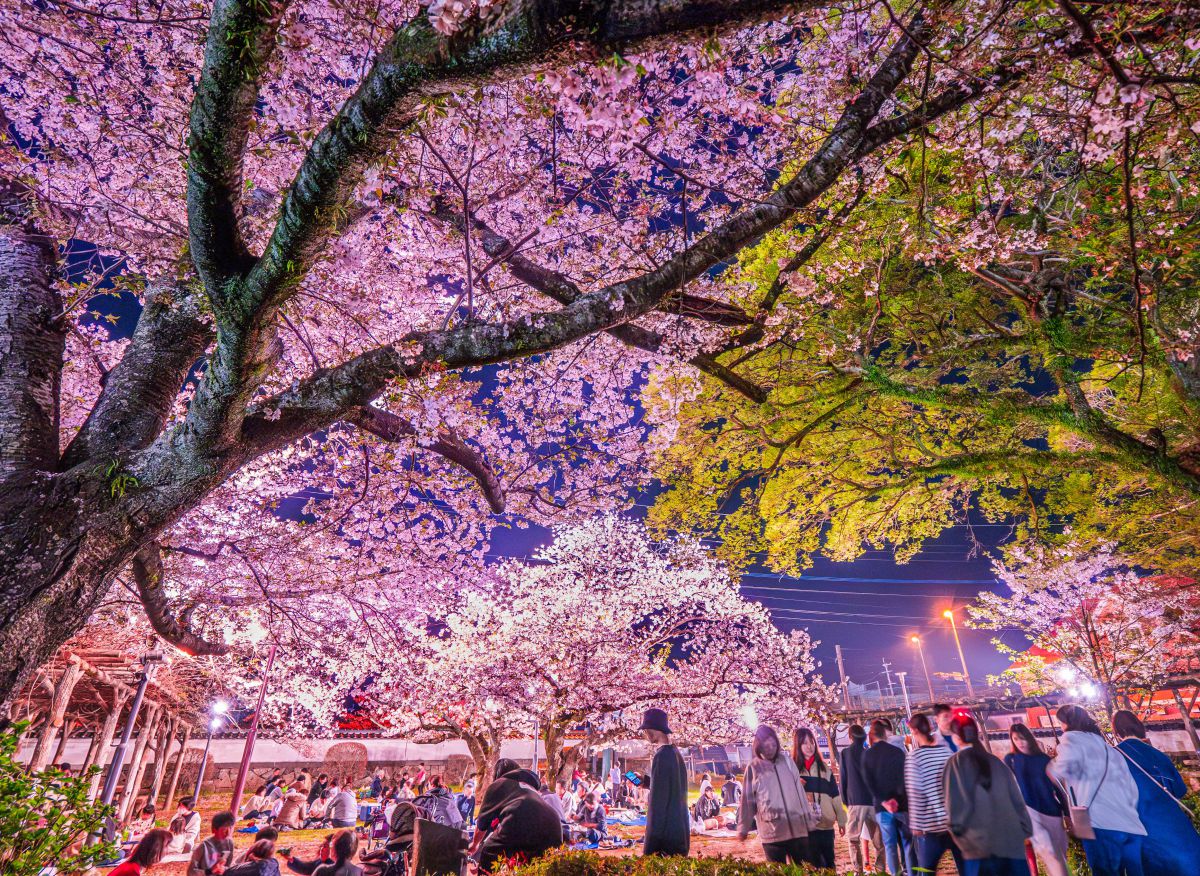 帰って来た日常 | GANREF