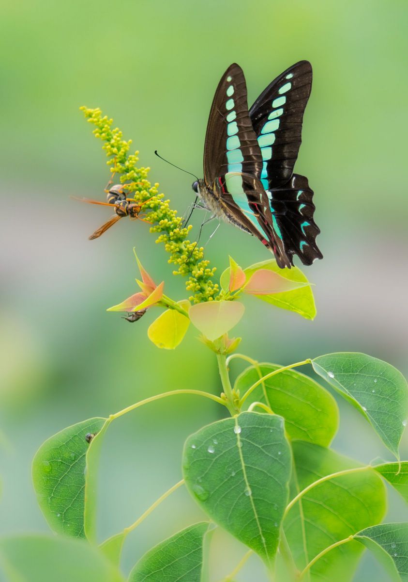 あ・うん | GANREF