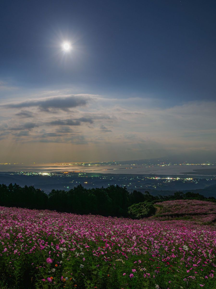 月夜の高原 | GANREF