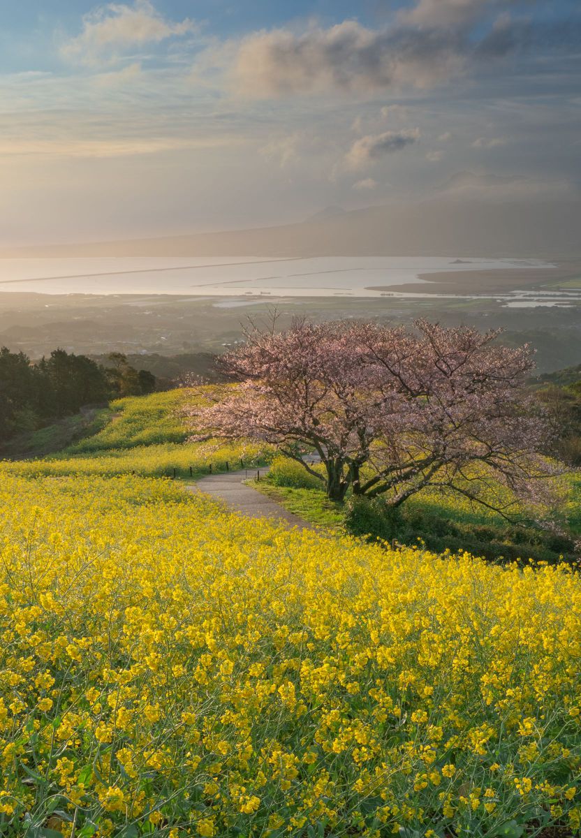 春色の高原 | GANREF