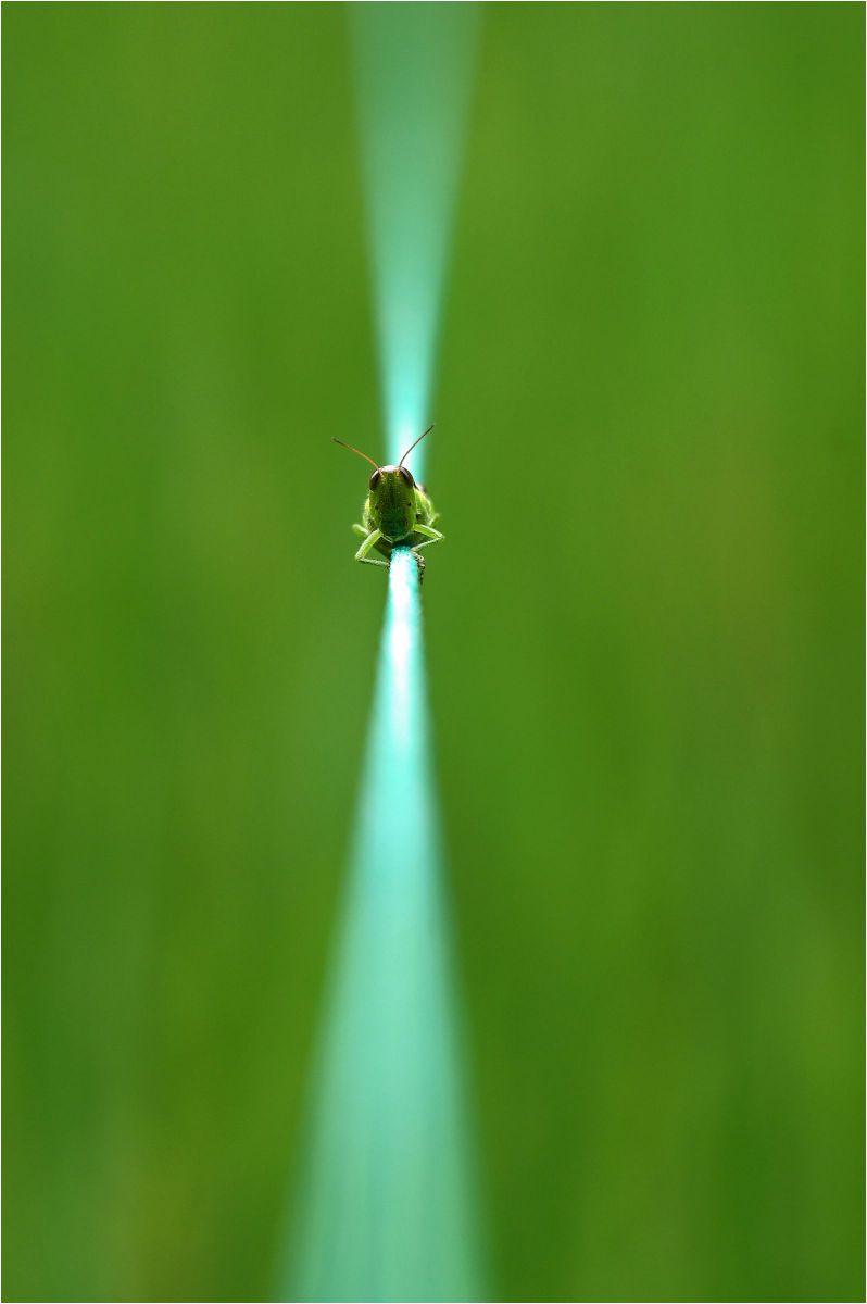 Beamに乗って | GANREF