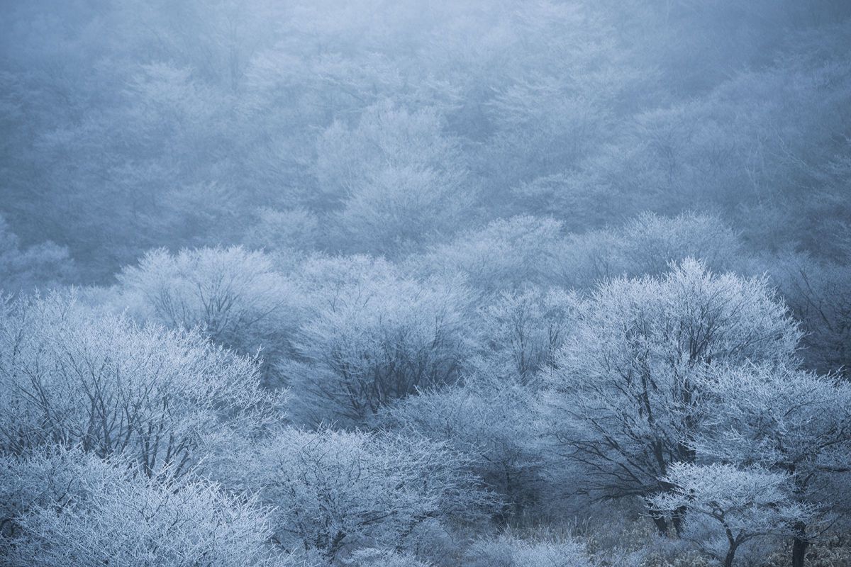 照（しょう） | GANREF