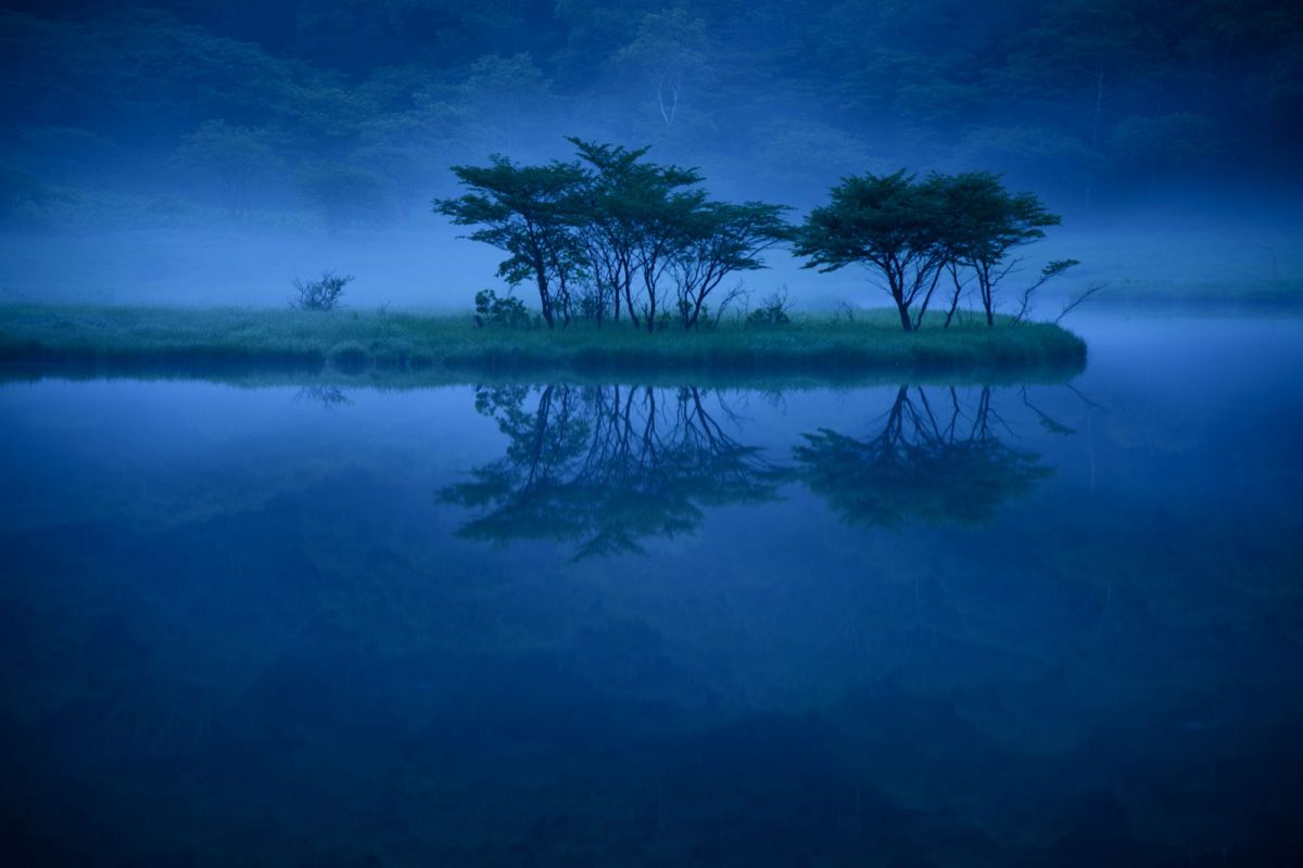 「青刻」Before | GANREF