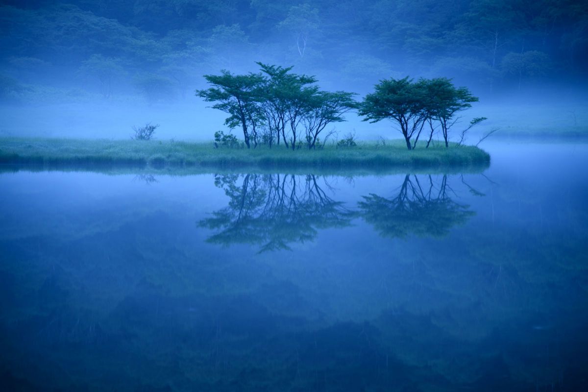 「青刻」After | GANREF